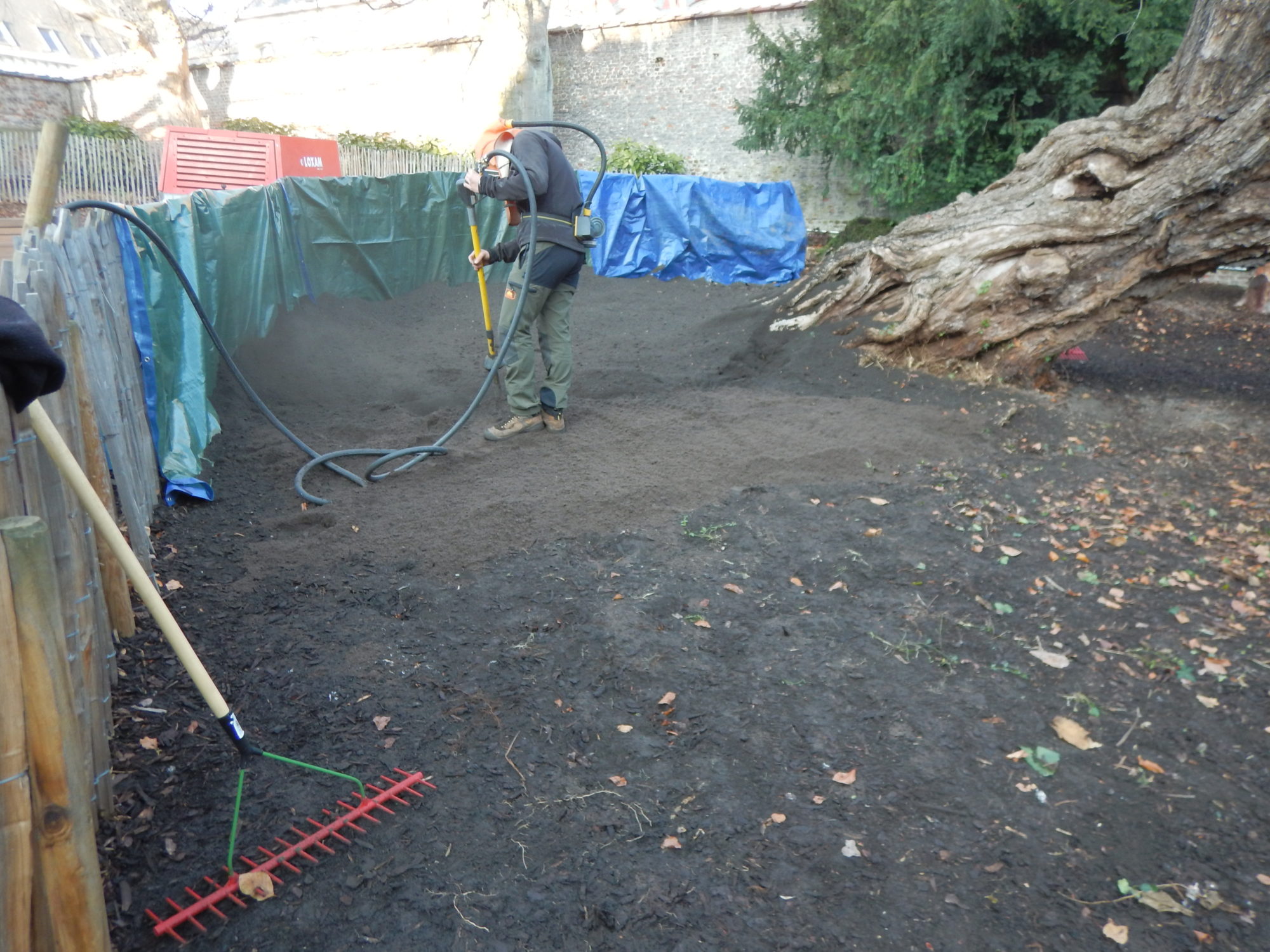 Décompaction de sol - Vos Arbres - Gaëtan Comes